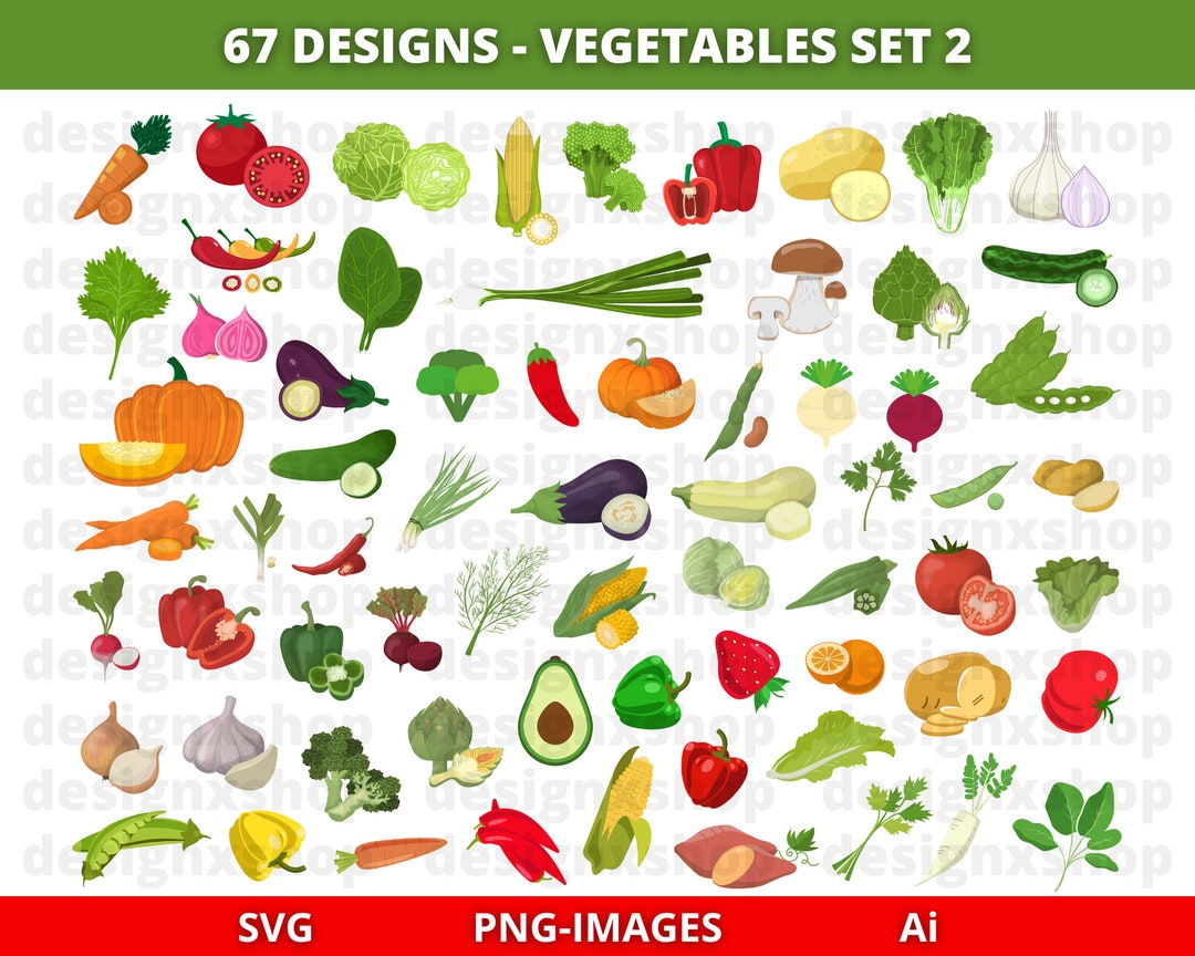 Vegetables Clipart Bundle: 67 Food Graphics (SVG & PNG) - Etsy