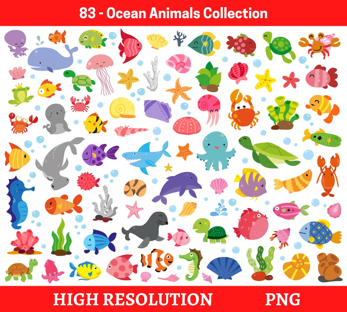 Ocean Animal Clipart Sea Animals Clipart Sea Life Clipart - Etsy