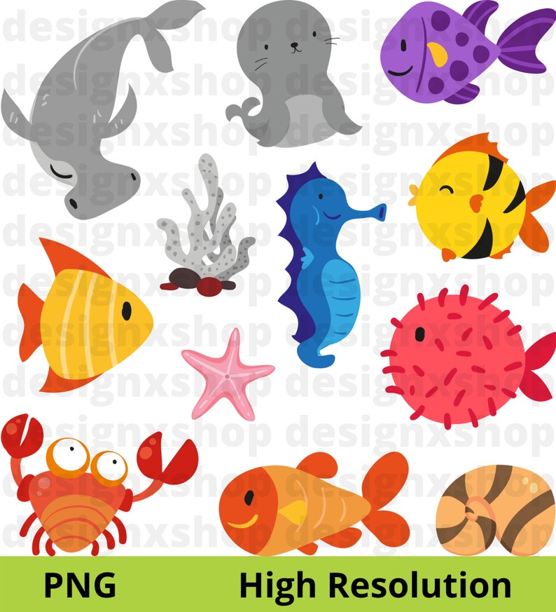 Ocean Animal Clipart Sea Animals Clipart Sea Life Clipart - Etsy