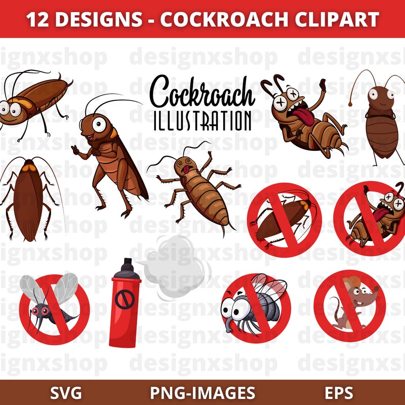 Cockroach - Etsy