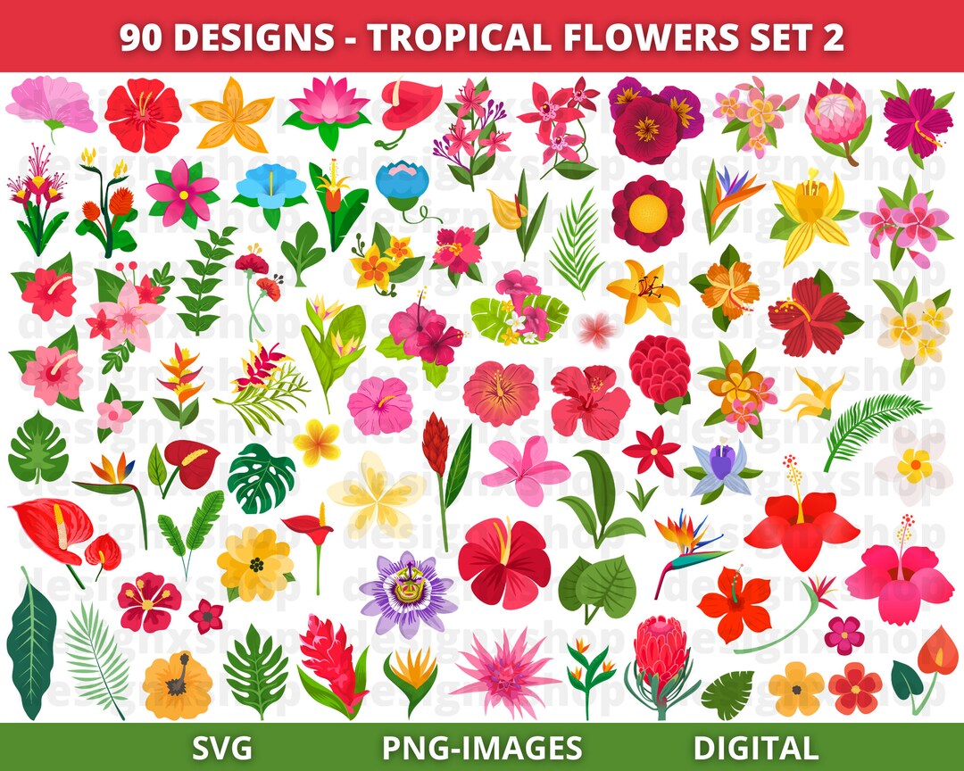 Tropical Flower Svg, Tropical Flower Clipart, Hawaiian Flower Svg ...