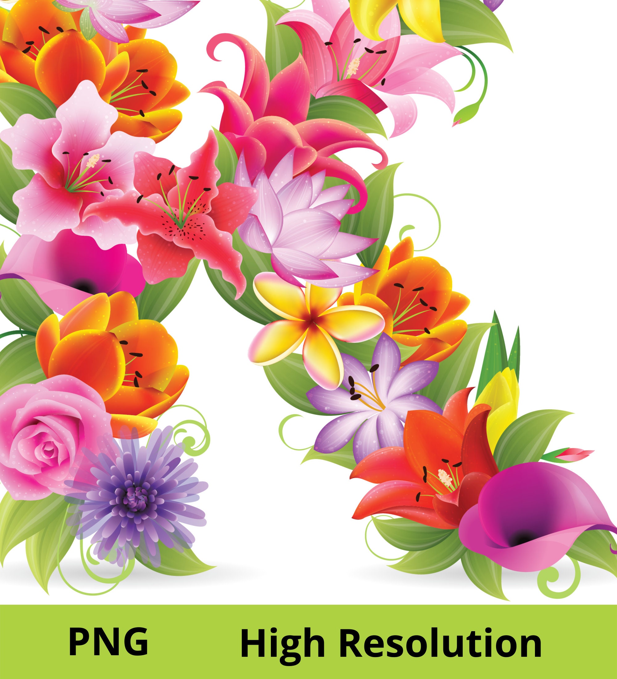 Floral Alphabet Clipart Flower Alphabet Colorful Flowers | Etsy UK