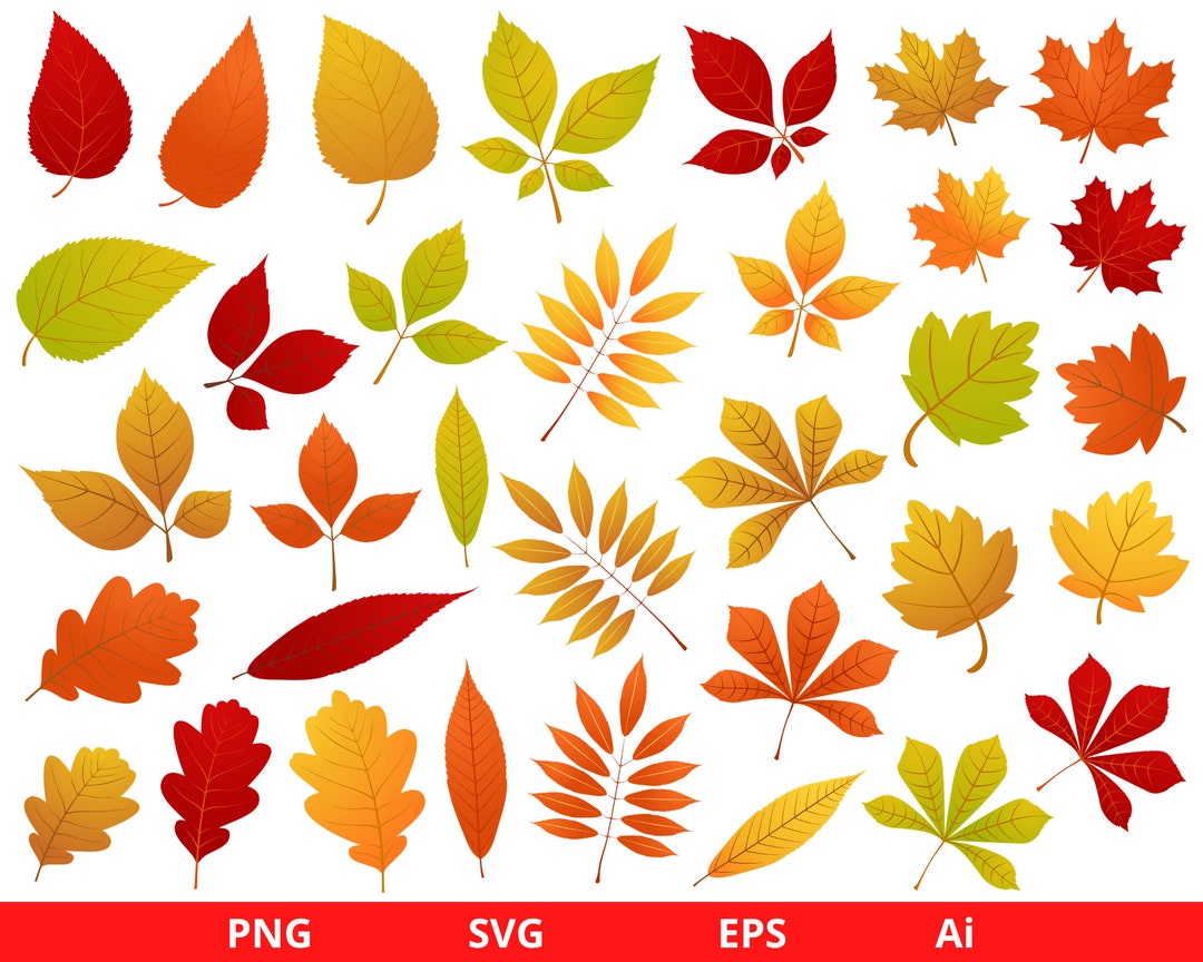 Autumn Leaves Clipart Autumn Clipart Fall Clipart Fall - Etsy