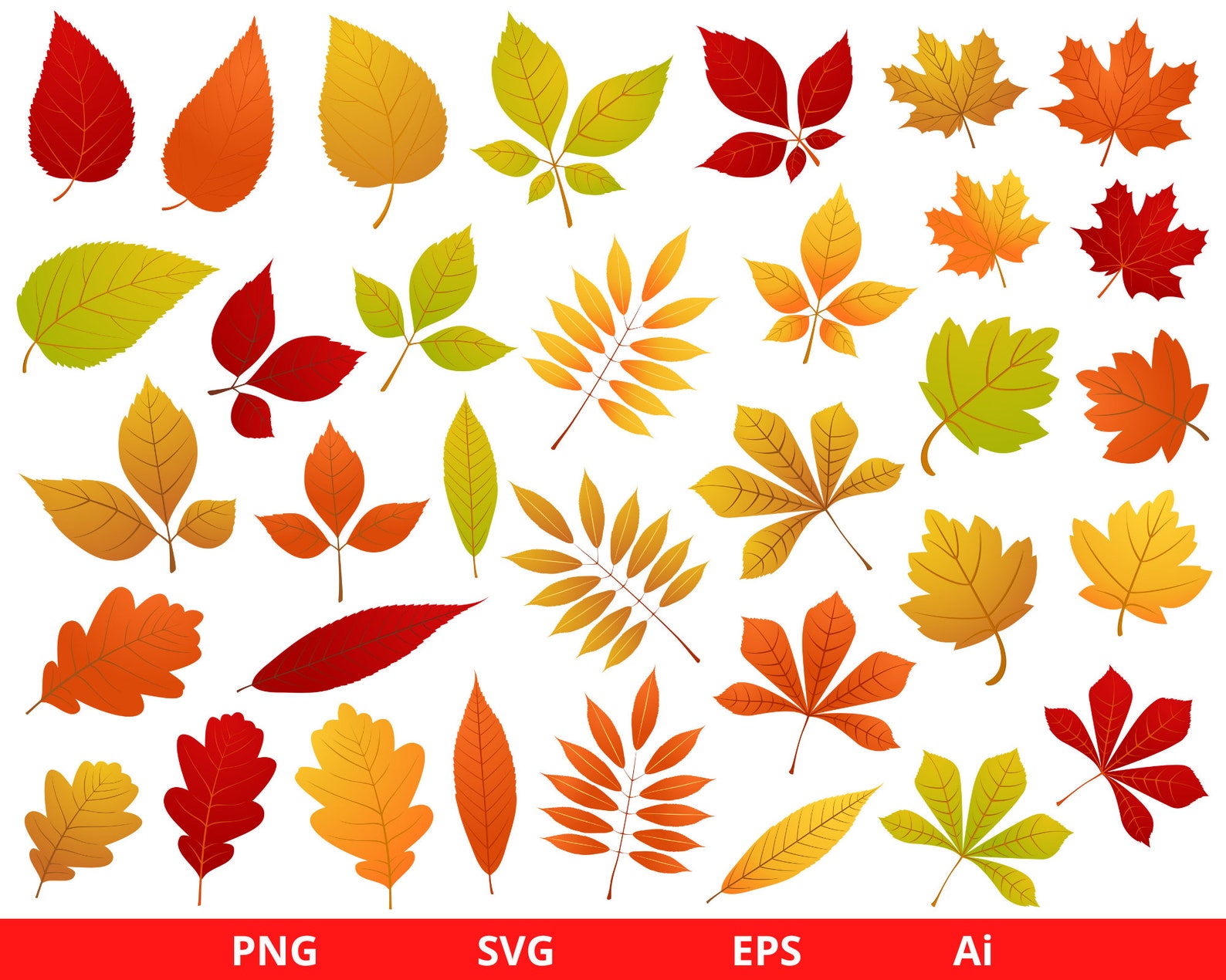 Autumn Leaves Clipart Autumn Clipart Fall Clipart Fall - Etsy