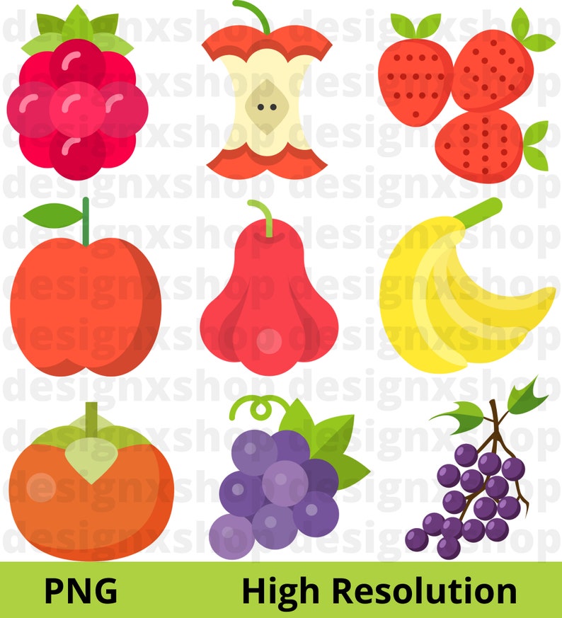 Fruits Clipart Fruit SVG Bundle Flat Summer Fruits Tropical - Etsy UK