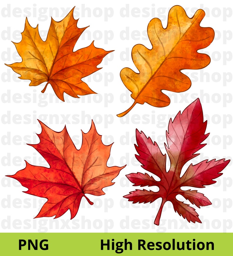 Watercolor Autumn Clipart Watercolor Fall Clipart Watercolor - Etsy