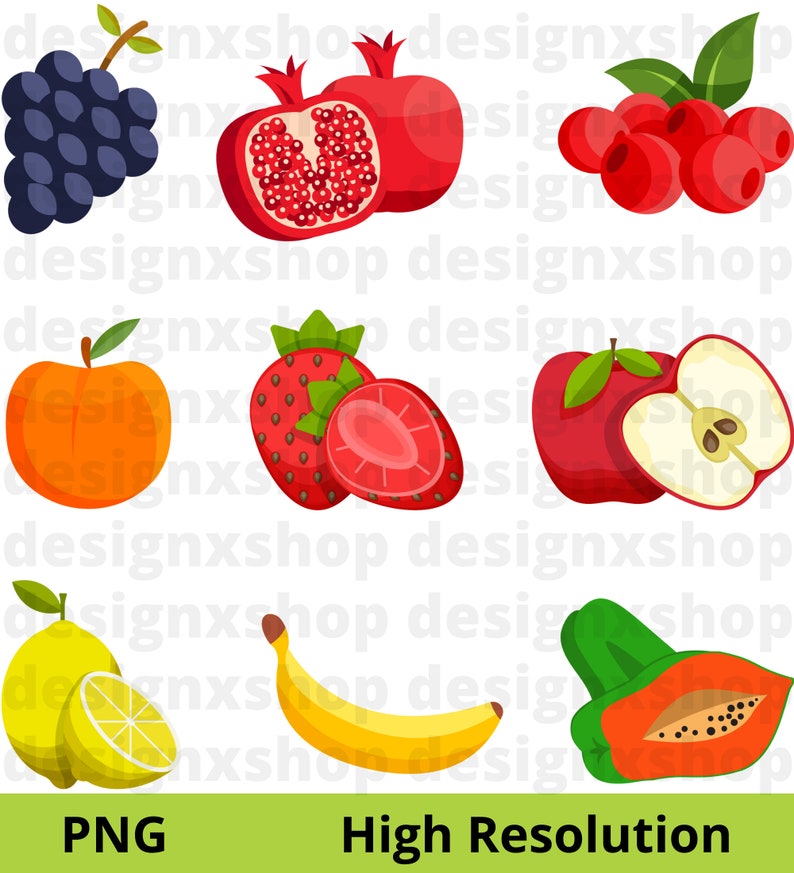 Fruits Clipart Fruit SVG Bundle Flat Summer Fruits Tropical - Etsy UK