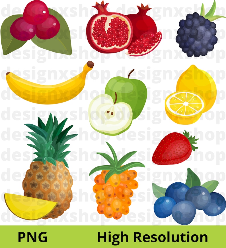 Fruits Clipart Fruit SVG Bundle Summer Fruits Tropical - Etsy UK