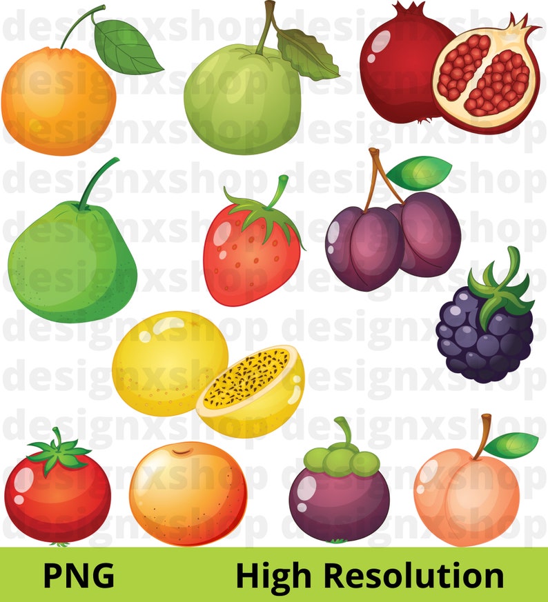 Fruits Clipart Fruit SVG Bundle Summer Fruits Tropical - Etsy