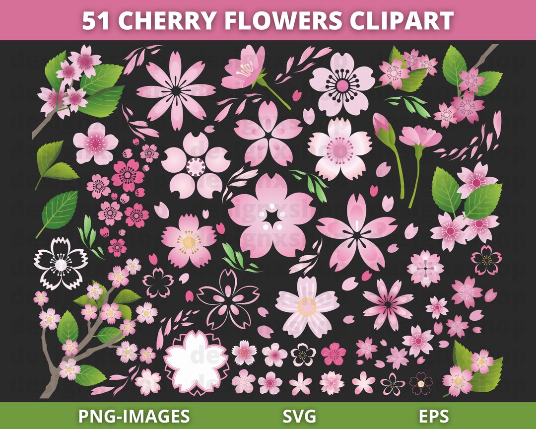 Pink Cherry Blossom Clipart: Floral SVG & PNG Bundle - Etsy