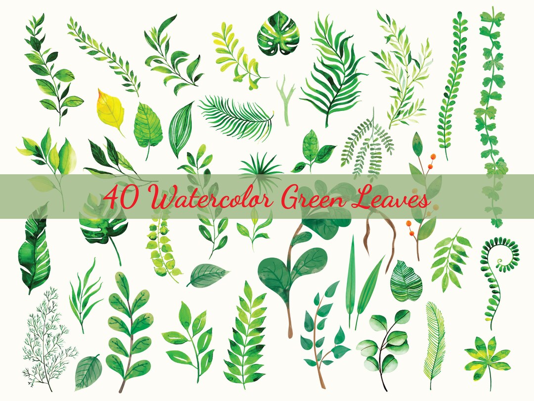Watercolor Leaves Clipart Foliage Clipart Garden Clipart - Etsy