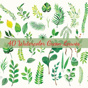 Watercolor Leaves Clipart | Foliage Clipart | Garden Clipart | Leaves ...