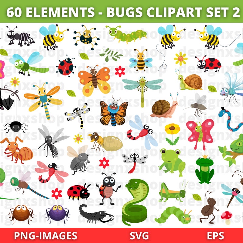 Insect Clipart - Etsy