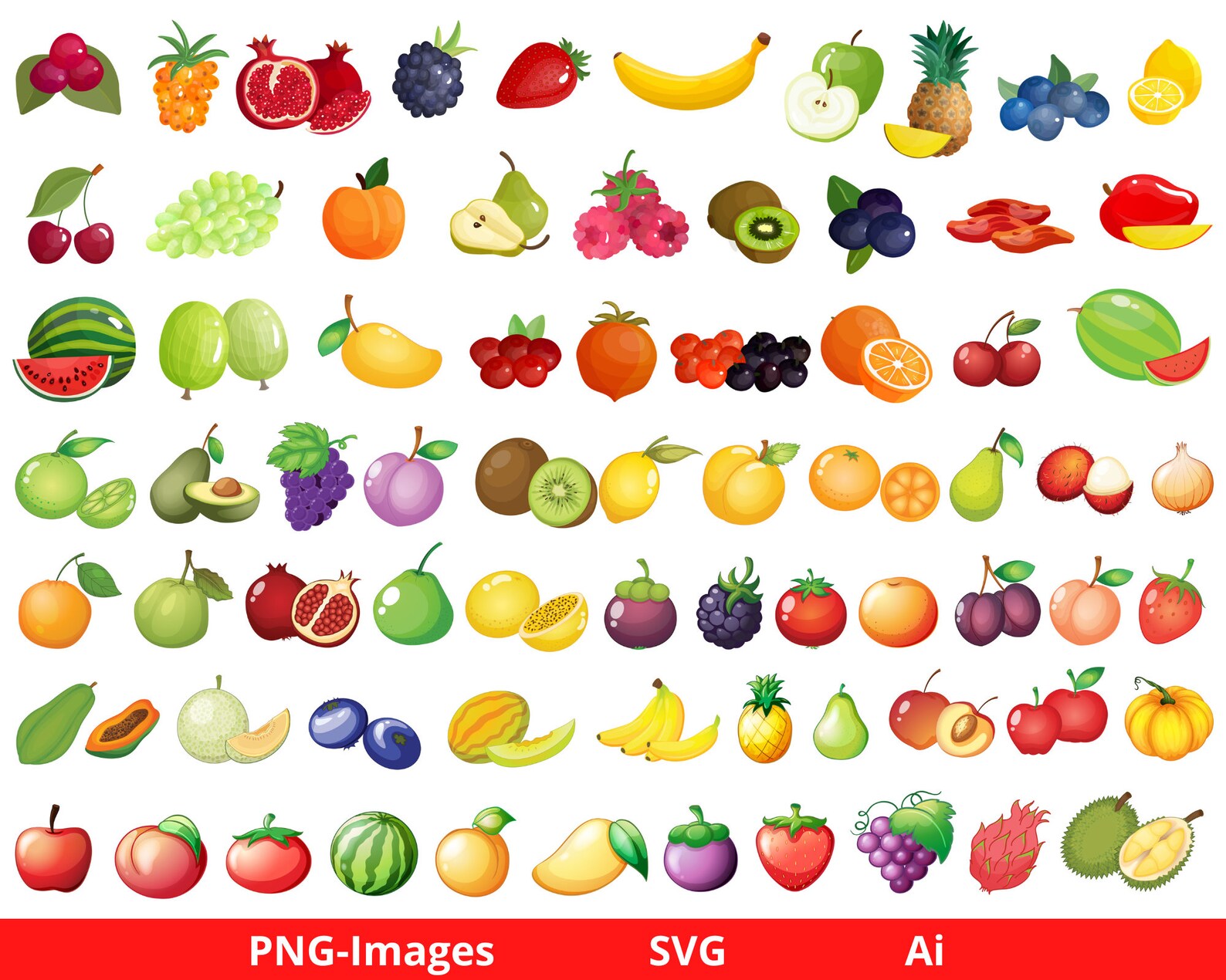 Fruits Clipart: Summer Tropical SVG & PNG Bundle - Etsy