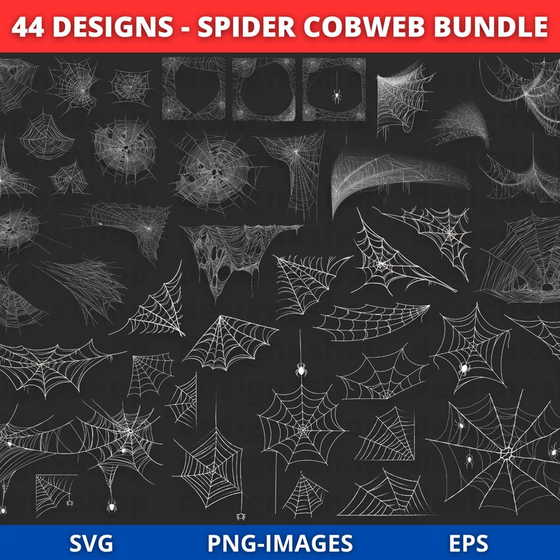 Spider Web Svg - Etsy