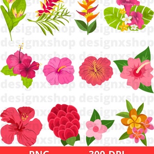 Tropical Flower Svg, Tropical Flower Clipart, Hawaiian Flower Svg ...