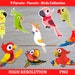 Parrots Clipart, Tropical Birds Clipart, Birds Clipart, Colorful ...