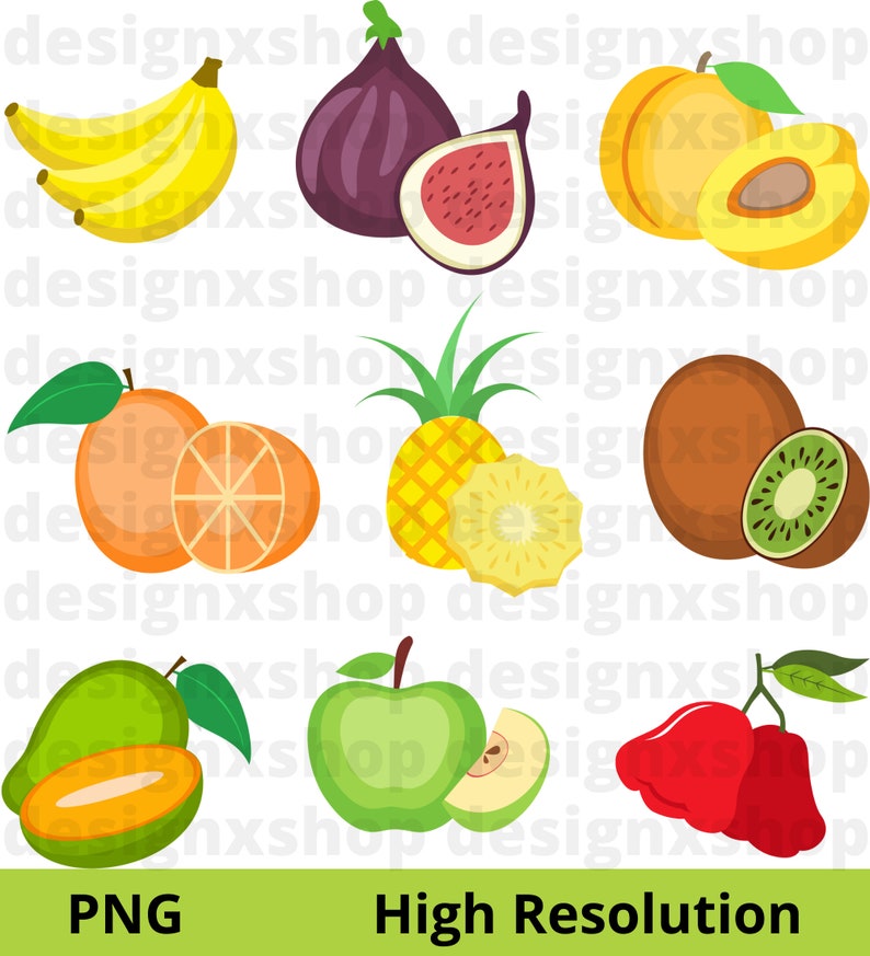 Fruits Clipart Fruit SVG Bundle Flat Summer Fruits Tropical - Etsy UK