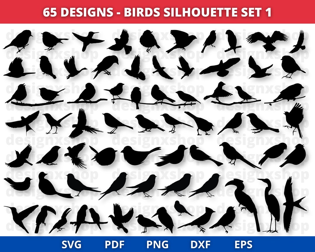 Bird SVG, Bird Svg Bundle, Flying Bird Svg, Animal Svg, Bird Clip Art ...