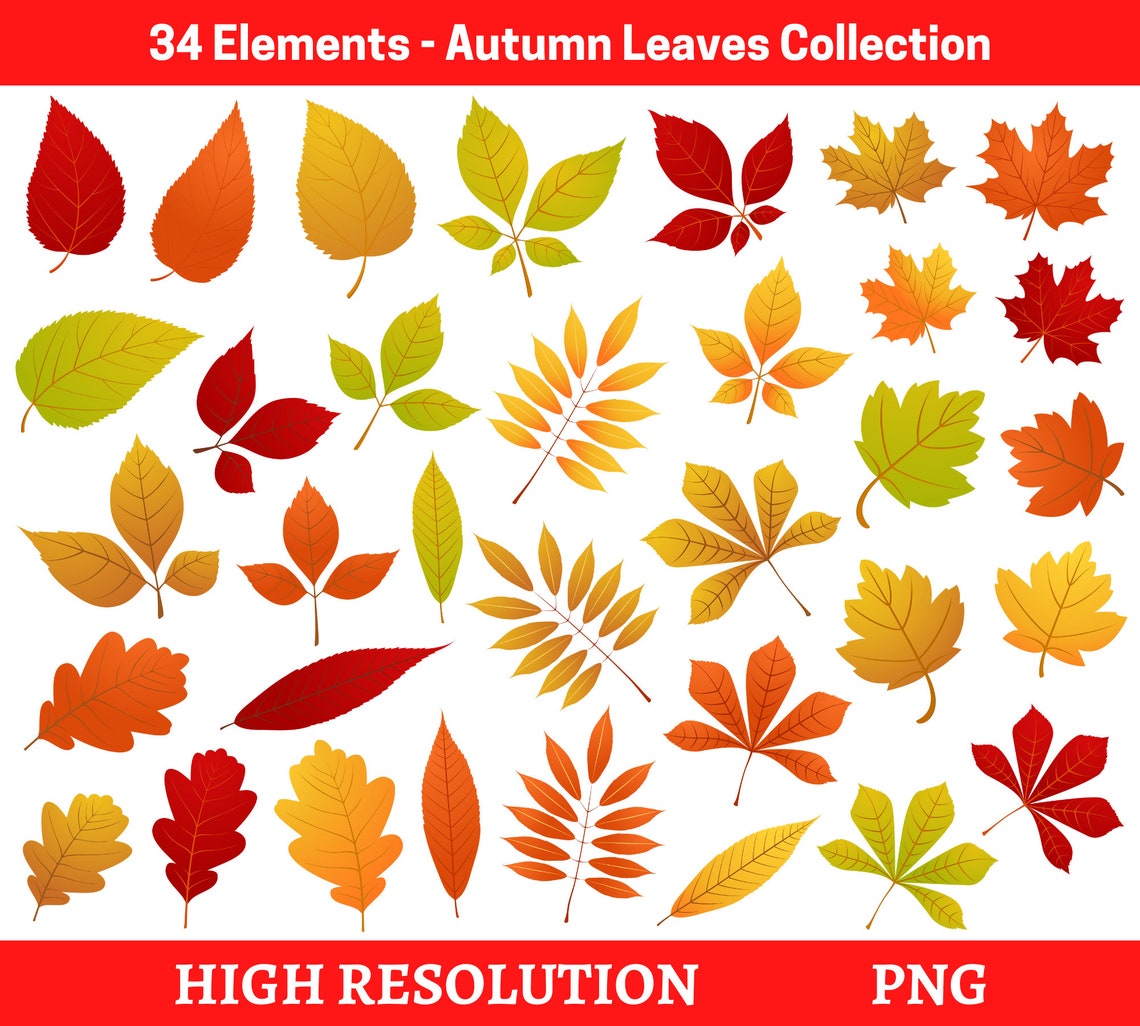 Autumn Leaves Clipart Autumn Clipart Fall Clipart Fall - Etsy