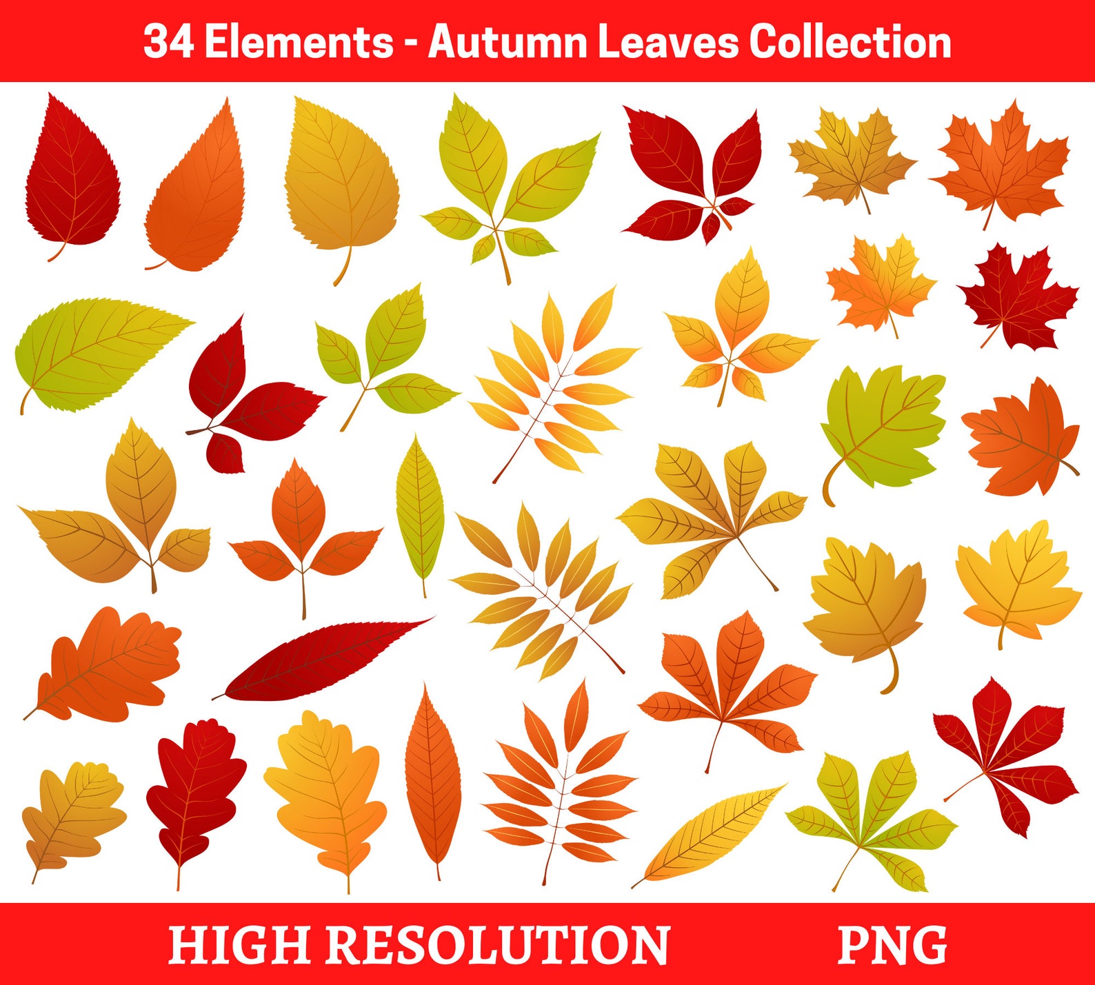 Autumn Leaves Clipart Autumn Clipart Fall Clipart Fall - Etsy