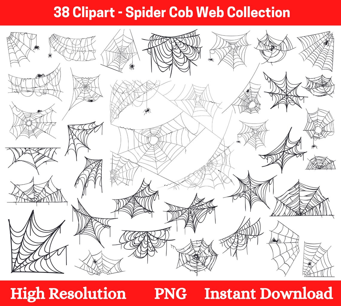 Spider Web SVG Bundle Cobweb Svg Spider Svg Halloween Svg - Etsy