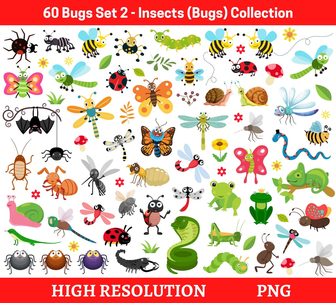 Bugs Clipart, Insects Clipart, Butterfly Clipart, Animal Clipart ...