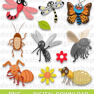 Bugs Clipart, Insects Clipart, Butterfly Clipart, Animal Clipart ...