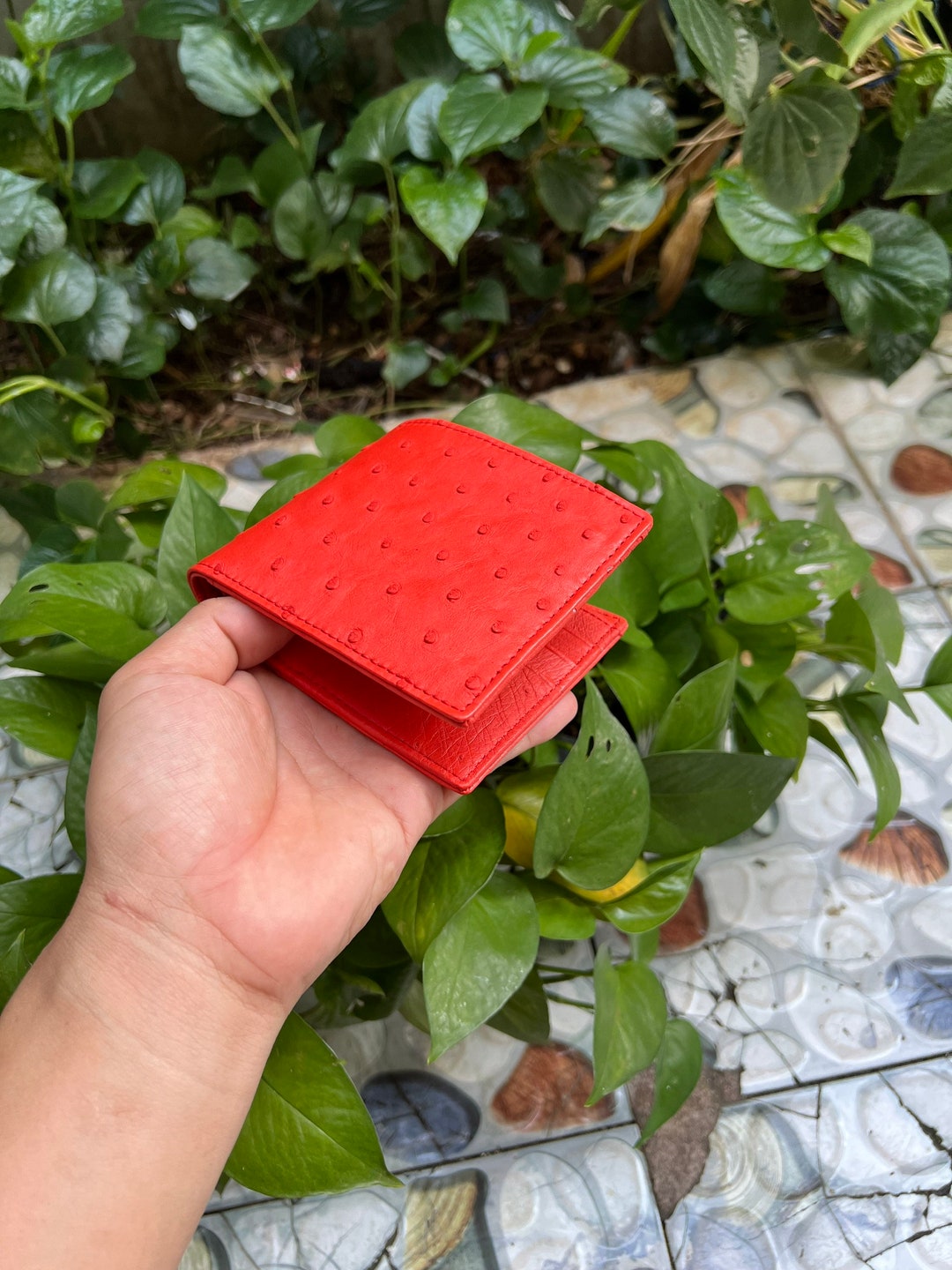 Red Genuine Ostrich Body Double Side Real Leather Skin Bifold Wallet ...