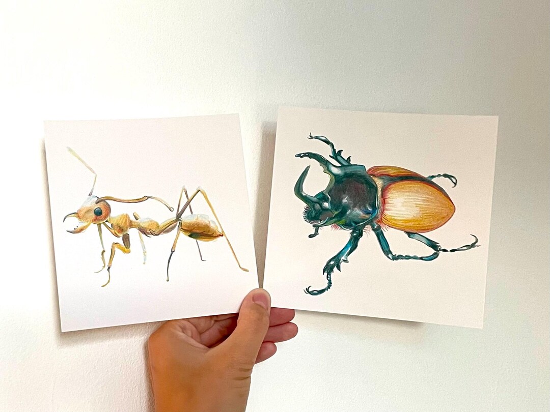 Hand-drawn Insect Art Prints – Stag Beetle & Ant | Crayon Nature ...