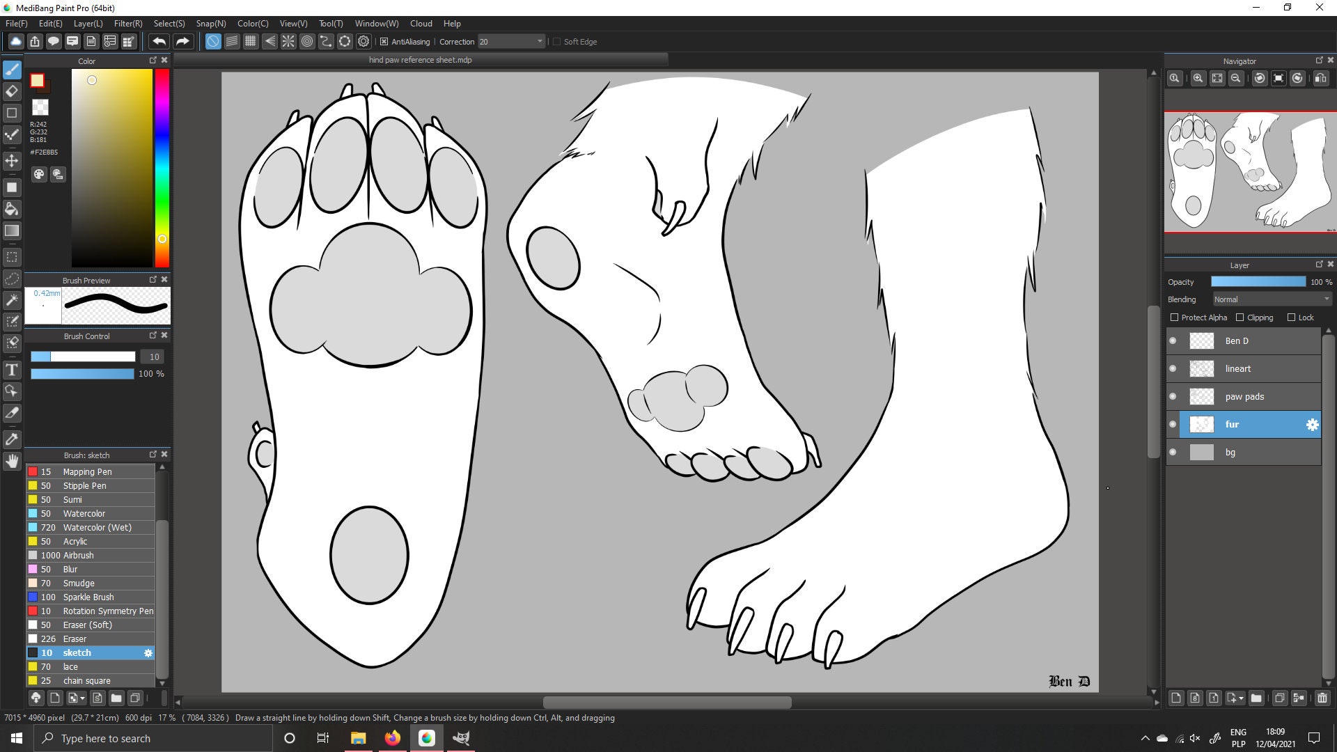 Realistic Fursona Feet Paw Reference Sheet Hi Res - Etsy