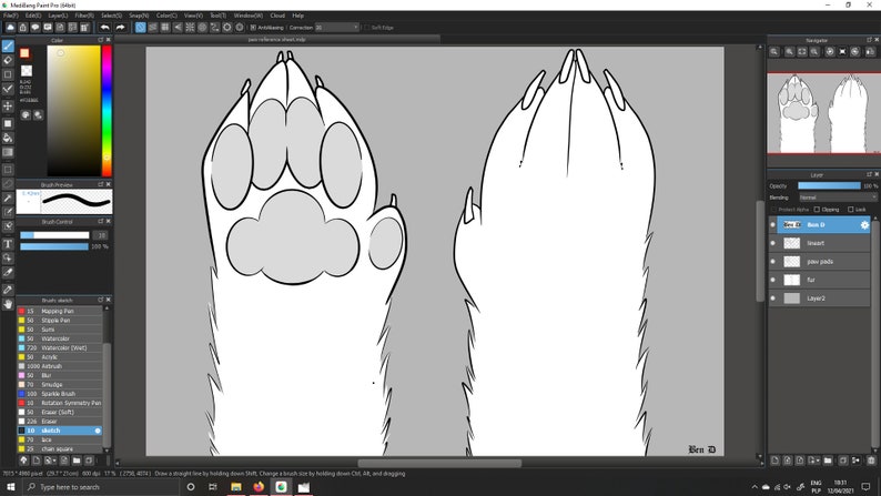 Realistic Fursona Hand Paw Reference Sheet Hi Res - Etsy