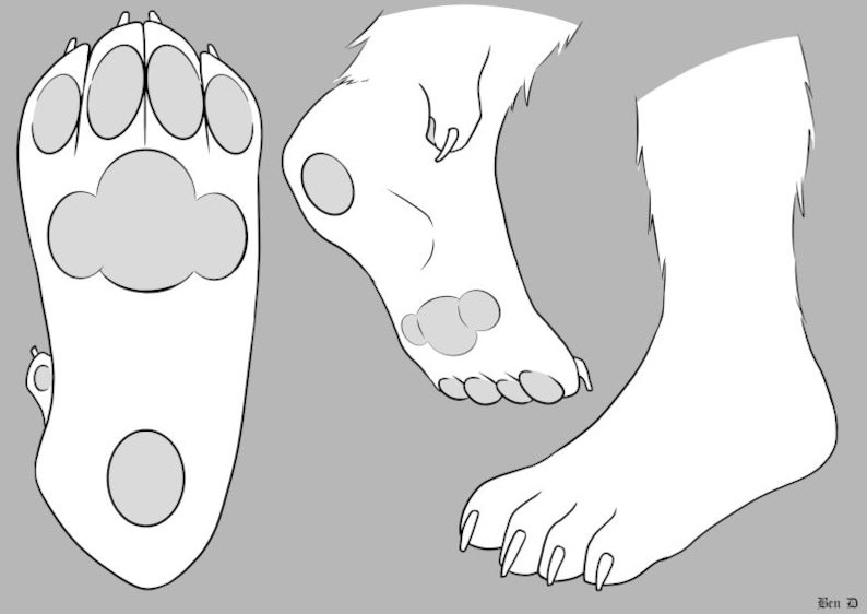 Realistic Fursona Feet Paw Reference Sheet Hi Res - Etsy
