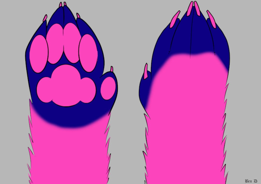 Realistic Fursona Hand Paw Reference Sheet Hi Res - Etsy