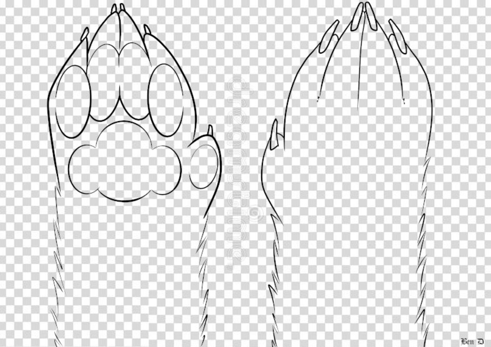 Realistic Fursona Hand Paw Reference Sheet Hi Res - Etsy