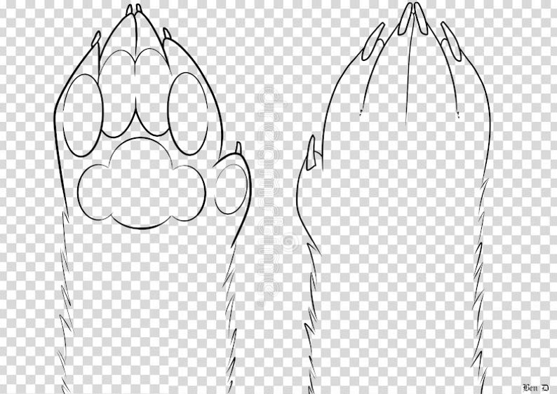Realistic Fursona Hand Paw Reference Sheet Hi Res - Etsy