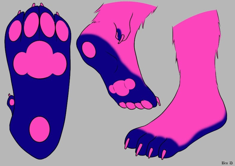 Hoja de referencia realista de Fursona Feet Paw Hi Res - Etsy España