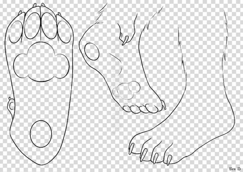 Realistic Fursona Feet Paw Reference Sheet Hi Res - Etsy Canada