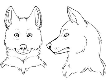 Rabbit Fursona Reference Sheet Hi Res Transparent .png | Etsy