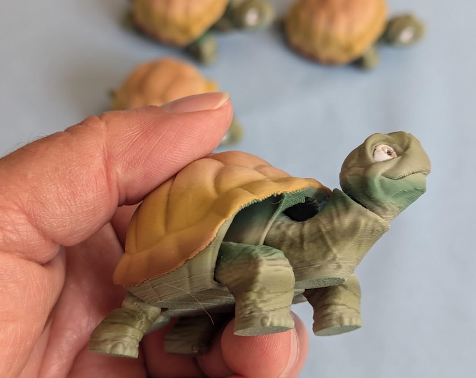 Panic Turtle! - Etsy