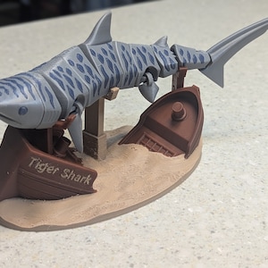 Articulated Tiger Shark - 3D Printed - Articulated Shark With Accent ...