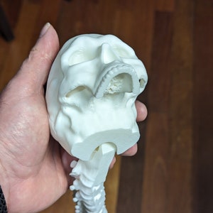 Predator Skull and Vertebrae Trophy - Articulated and 3d Printed - Etsy