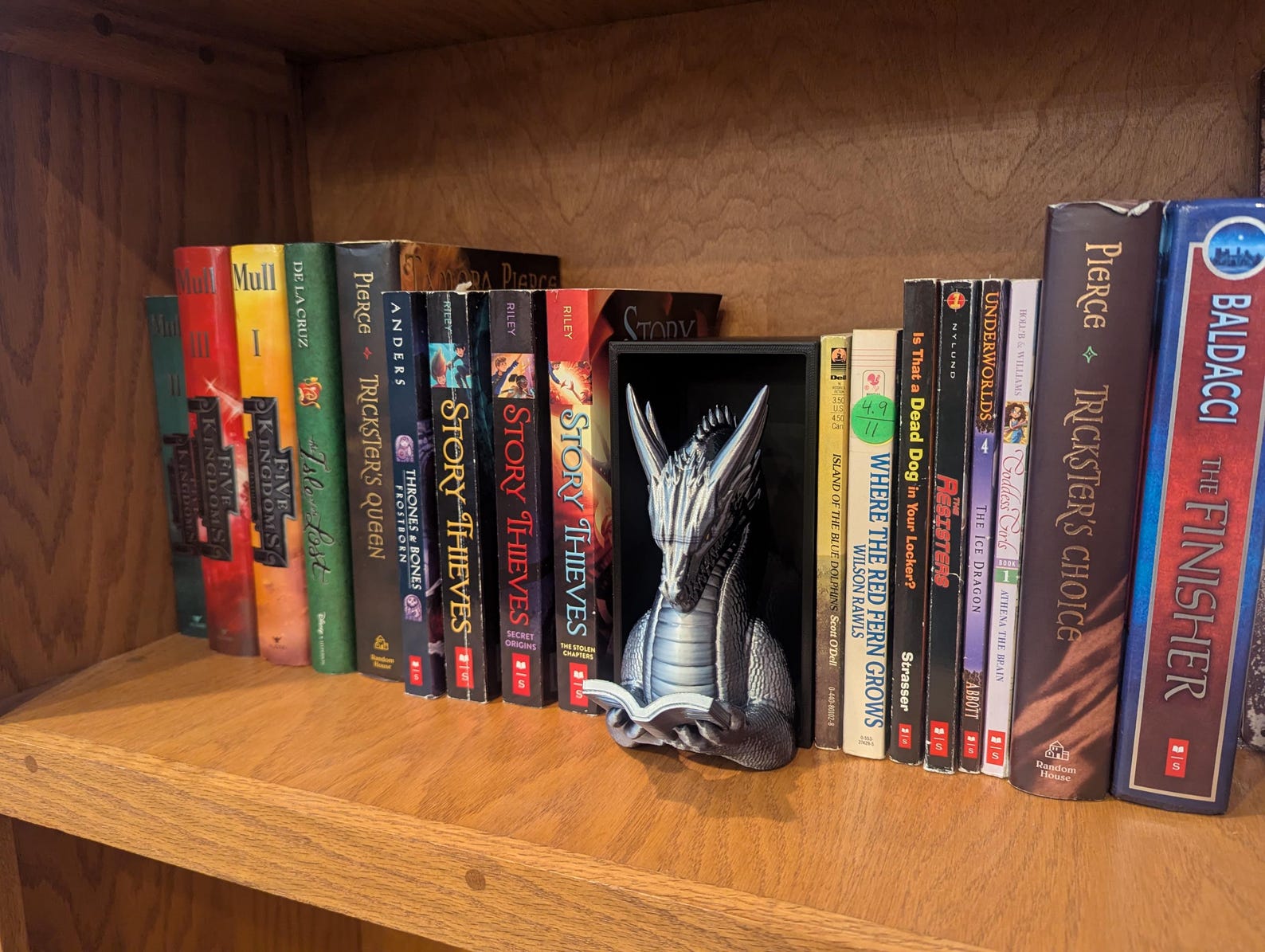 Reading Dragon Book Nook - Shelf Decor, Library Decor, Fantasy Decor - Etsy