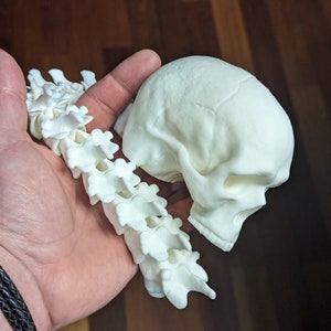 Predator Skull and Vertebrae Trophy - Articulated and 3d Printed - Etsy