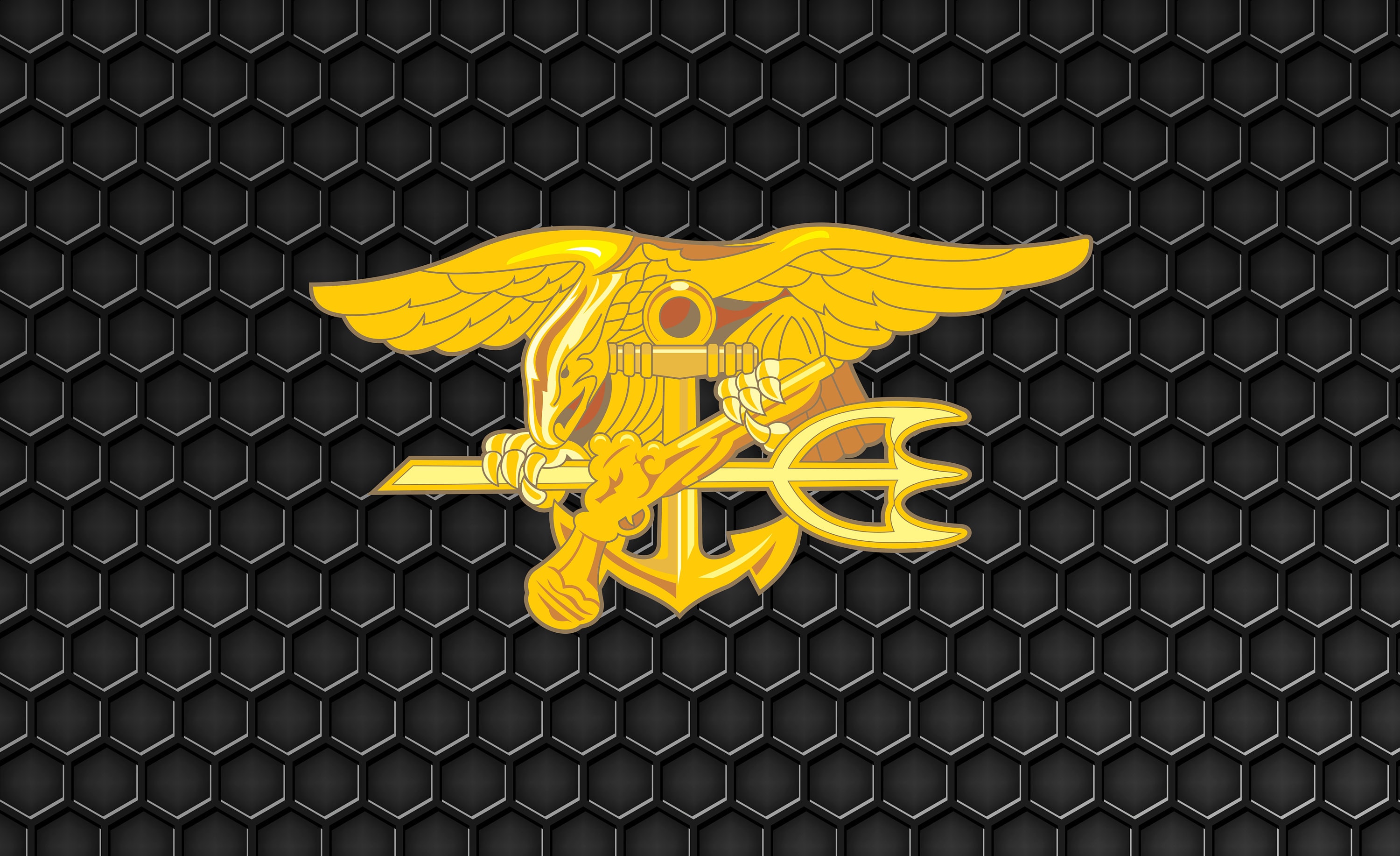 US Navy SEAL budweiser Trident Patch Pin Logo - Etsy Canada