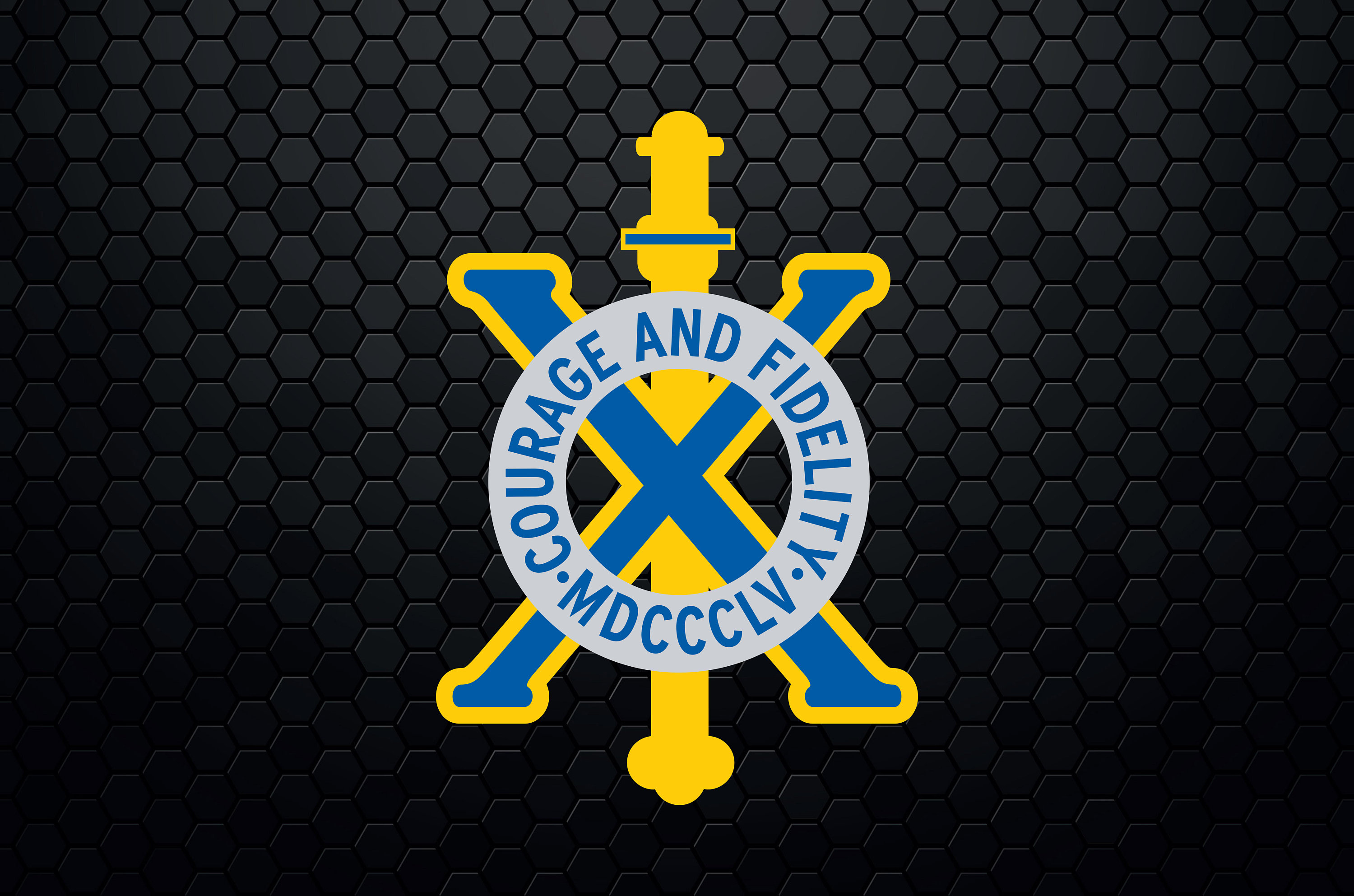 US Army 10th Infantry Regiment DUI Patch Logo Decal Emblem Crest ...