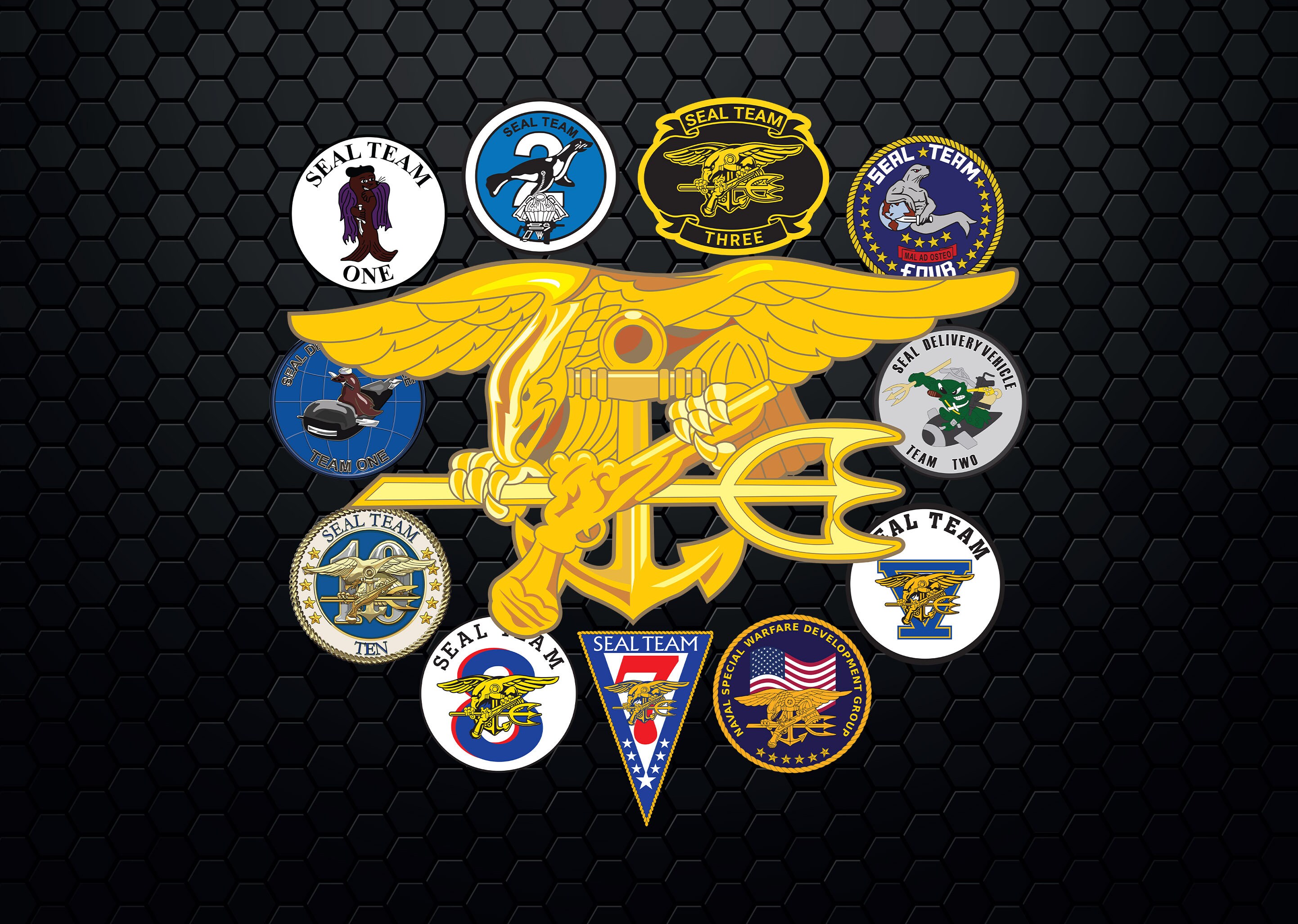 Navy Seal Trident Pin Navy Seal Trident Pin
