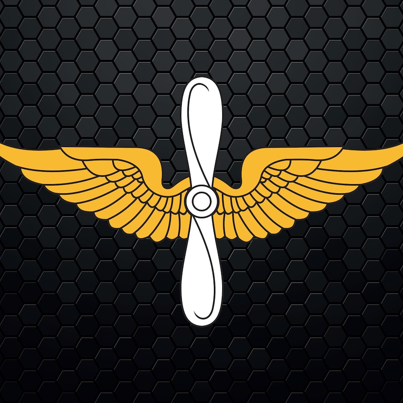 Aviation Patch Svg - Etsy