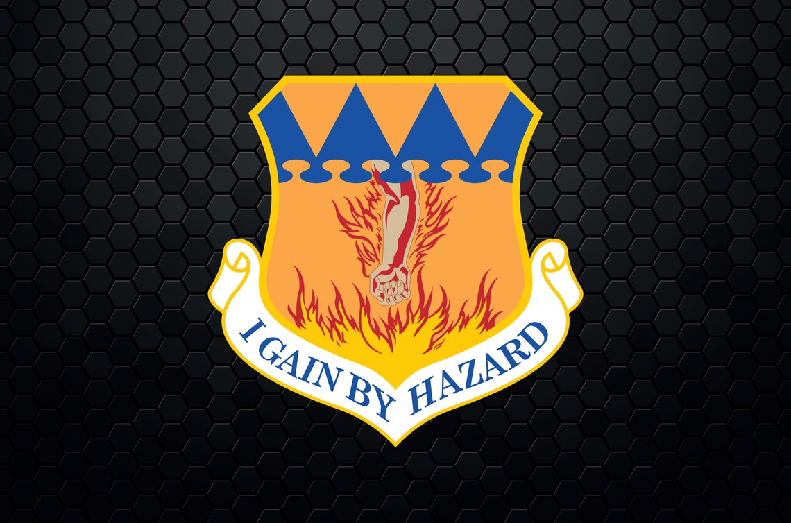 317th Airlift Group USAF Patch Logo Decal Emblem Crest | Etsy