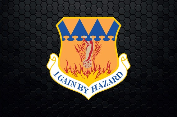 317th Airlift Group USAF Patch Logo Decal Emblem Crest | Etsy